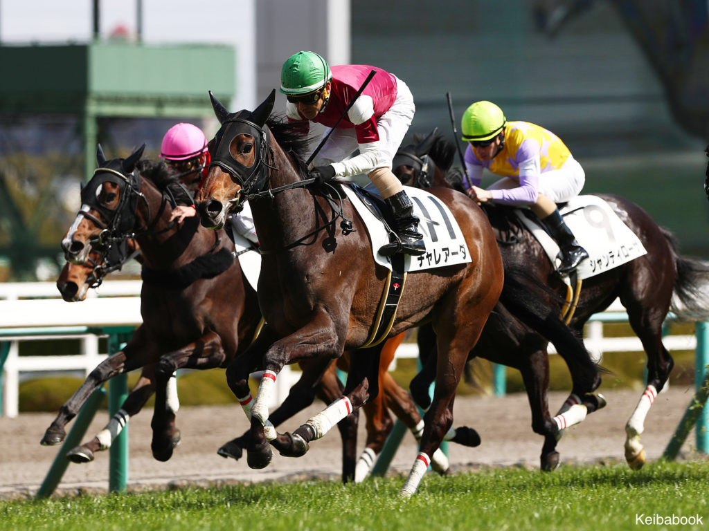 THREE-YEAR-OLD MAIDEN | NAKAUCHIDA Stable