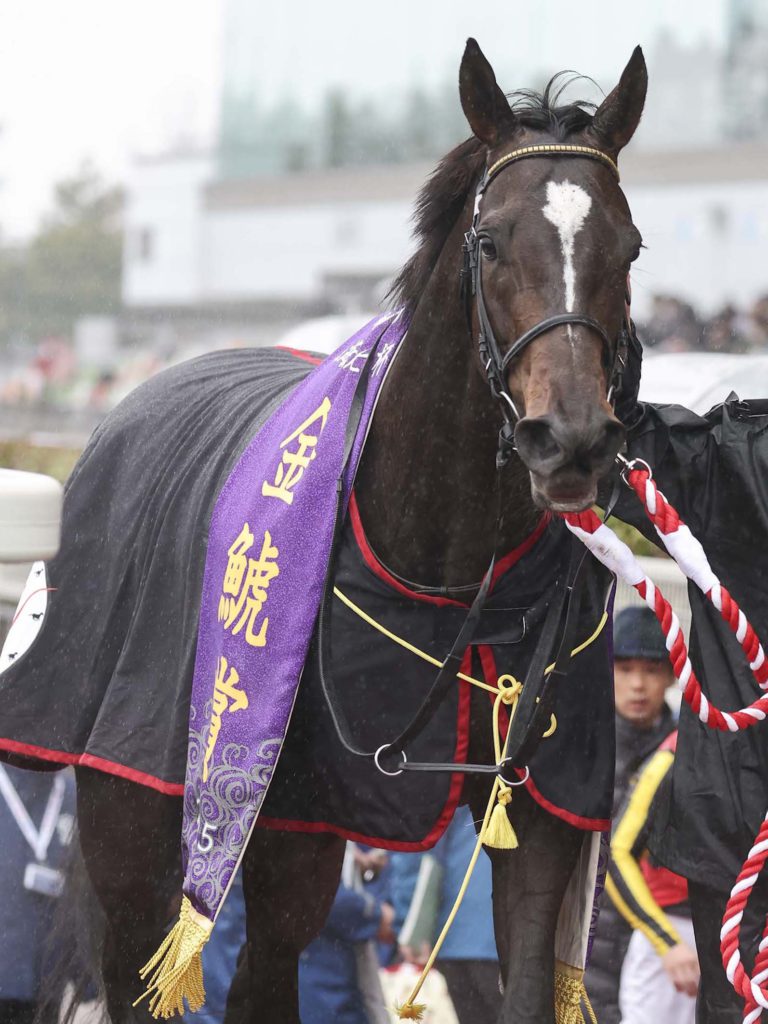 ACHIEVEMENT | NAKAUCHIDA Stable